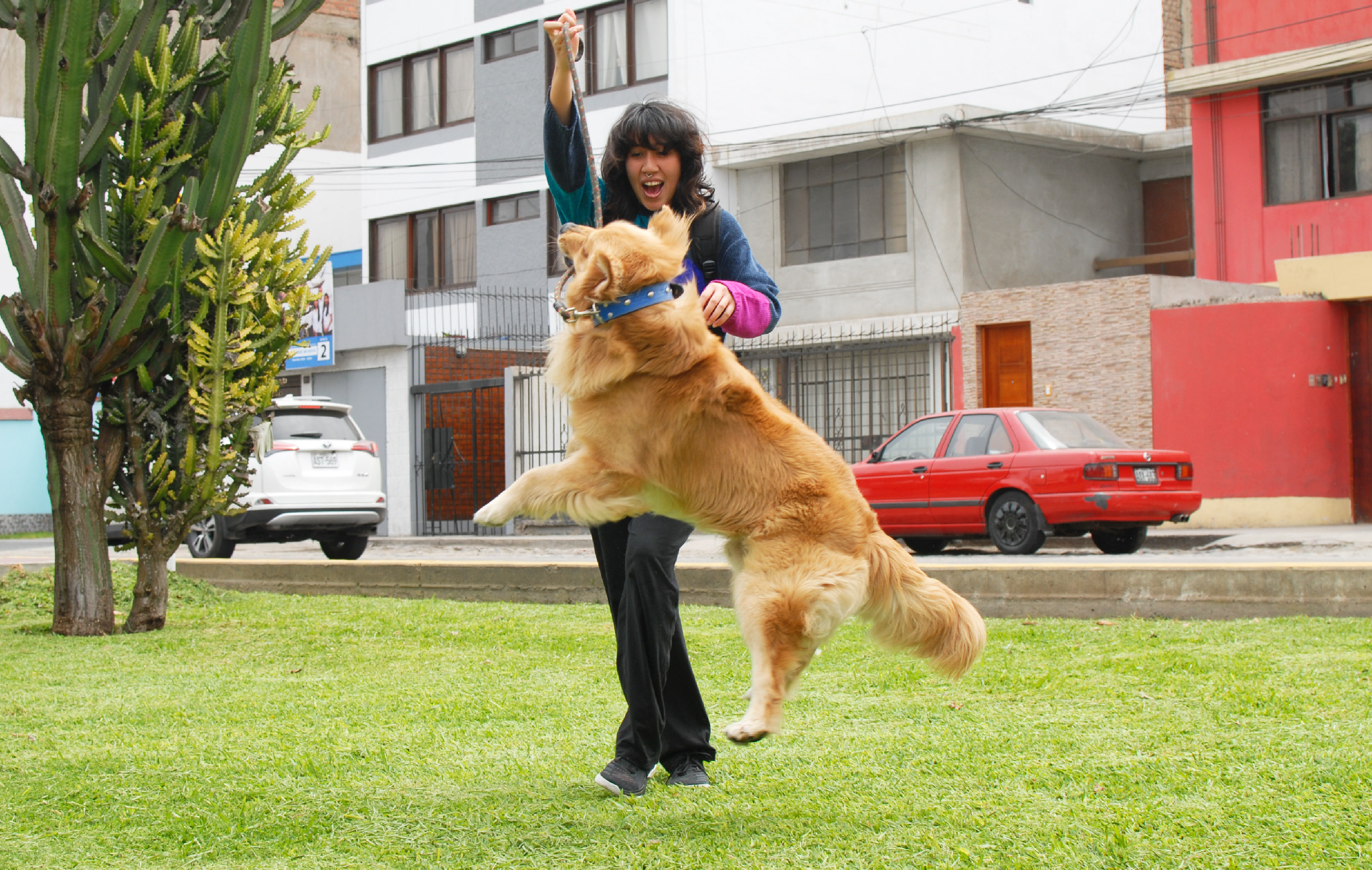 Cinco maneras en las que sacar a pasear a tu mascota ayuda a mejorar tu ... Cinco maneras en las que sacar a pasear a tu mascota ayuda a mejorar tu ...